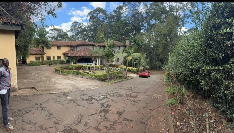 For Sale: 1.6acres Land With 14 Bedroom Old House In Peponi Rd Spring ...